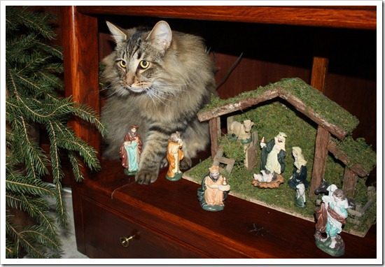 Жизнь французской домохозяйки: Crèche vivante